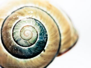 Seeking Hyper Productivity | PPT