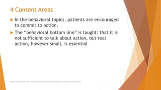 Seeking Safety Overview | PPTX