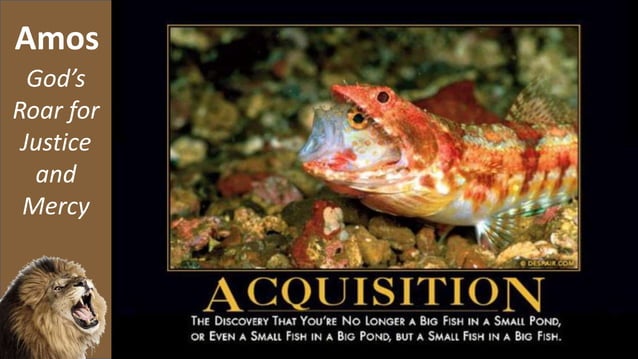 Amos: God's Roar for Justice and Mercy_Seek the LORD and Live | PPT ...