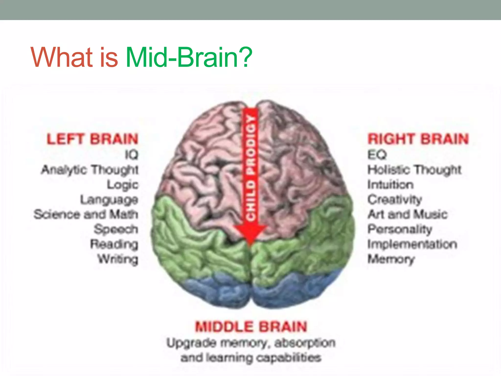 SEEMAS MIDBRAIN ACTIVATION | PPTX