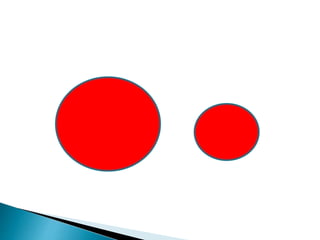 Similar Figures | PPT