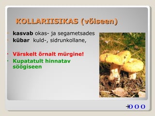 Seened | PPT