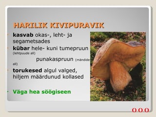 Seened | PPT