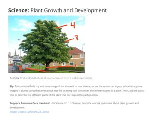 30 Seesaw Activity Ideas | PDF