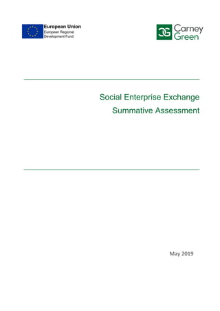 Social Enterprise Exchange - Summative Assessment | PDF