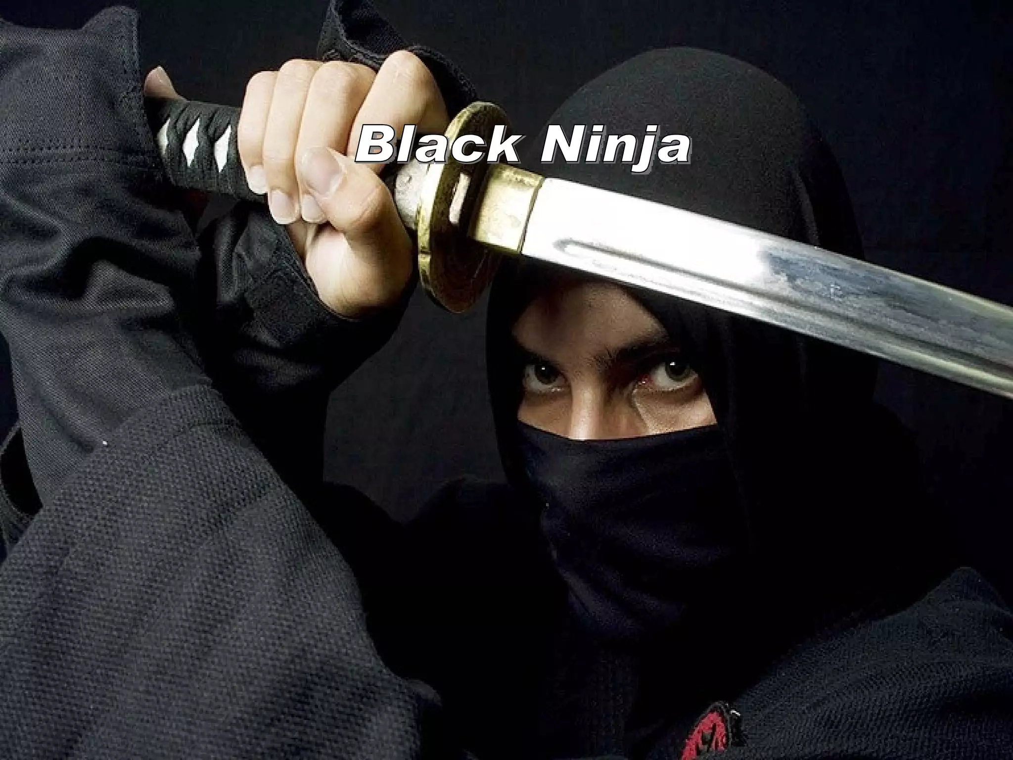 See The Colors Slides | PPT