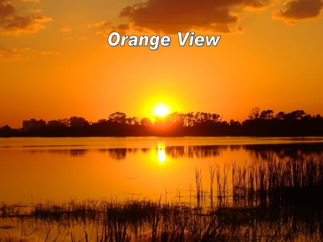 See The Colors Slides | PPT