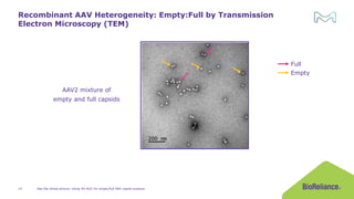 See the Whole Picture: Using SV-AUC for Empty/Full AAV Capsid Analysis ...