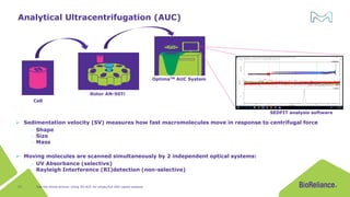 See the Whole Picture: Using SV-AUC for Empty/Full AAV Capsid Analysis ...