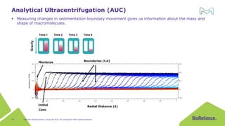 See the Whole Picture: Using SV-AUC for Empty/Full AAV Capsid Analysis ...