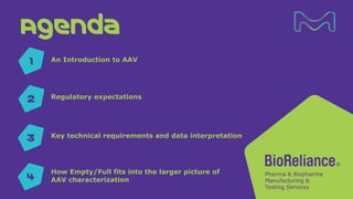 See the Whole Picture: Using SV-AUC for Empty/Full AAV Capsid Analysis ...
