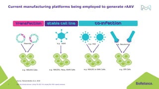 See the Whole Picture: Using SV-AUC for Empty/Full AAV Capsid Analysis ...