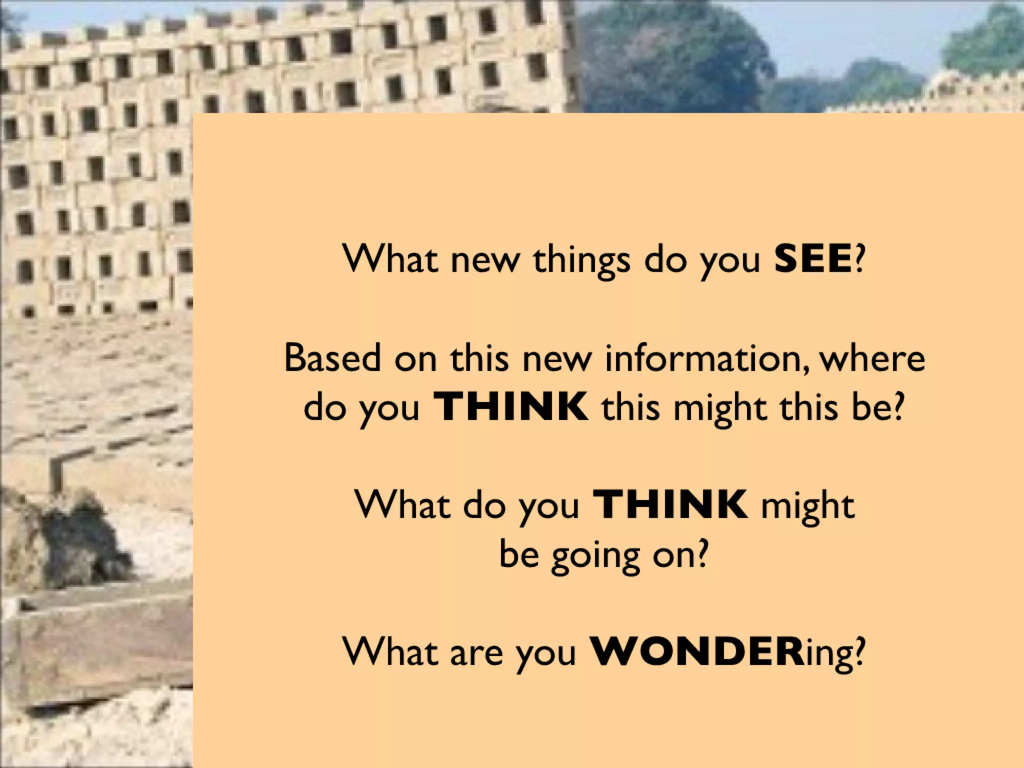 See think wonder | PDF