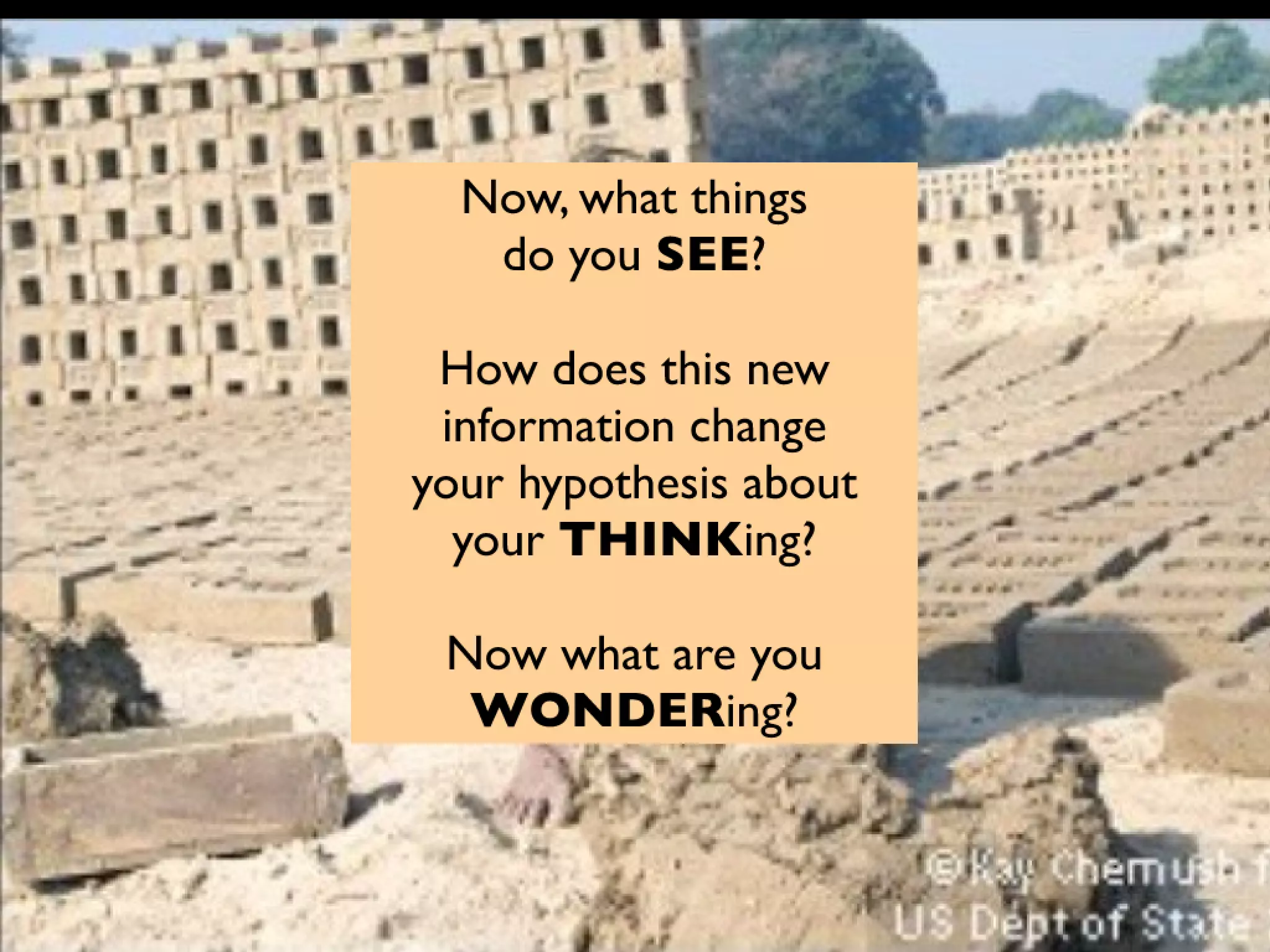 See think wonder | PDF