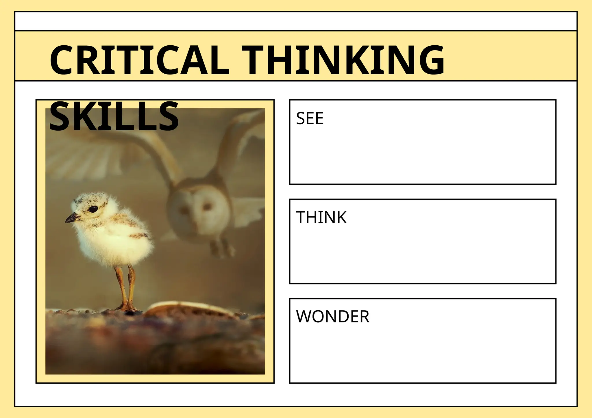 See Think Wonder Critical Thinking Skills Worksheet in Colorful ...