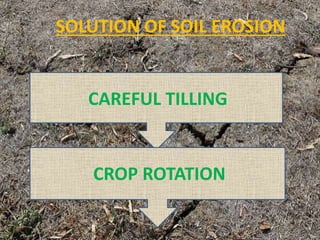 SOIL EROSION | PPTX