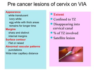 Cervical Cancer Prevention in Poor Resource areas : See & treatapproach ...