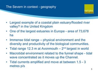 2012 07 The Severn Estuary European Marine Site Dr. Joe Green, Natural ...