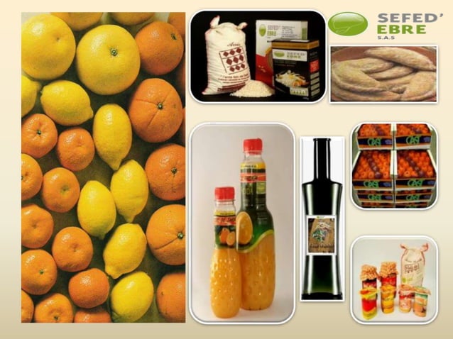 Sefed Ebre anglès | PPT