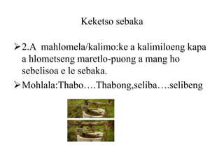 SEFELULI SA LEEKETSI.pptx