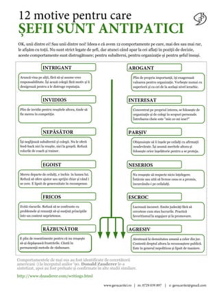 Sefii sunt antipatici | PDF