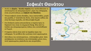 ΣΕΦΚΙΕΤ ΘΑΝΑΤΟΥ | PPT