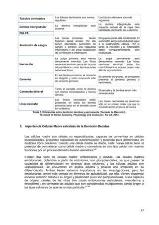 ANATOMIA DENTAL DECIDUA | PDF