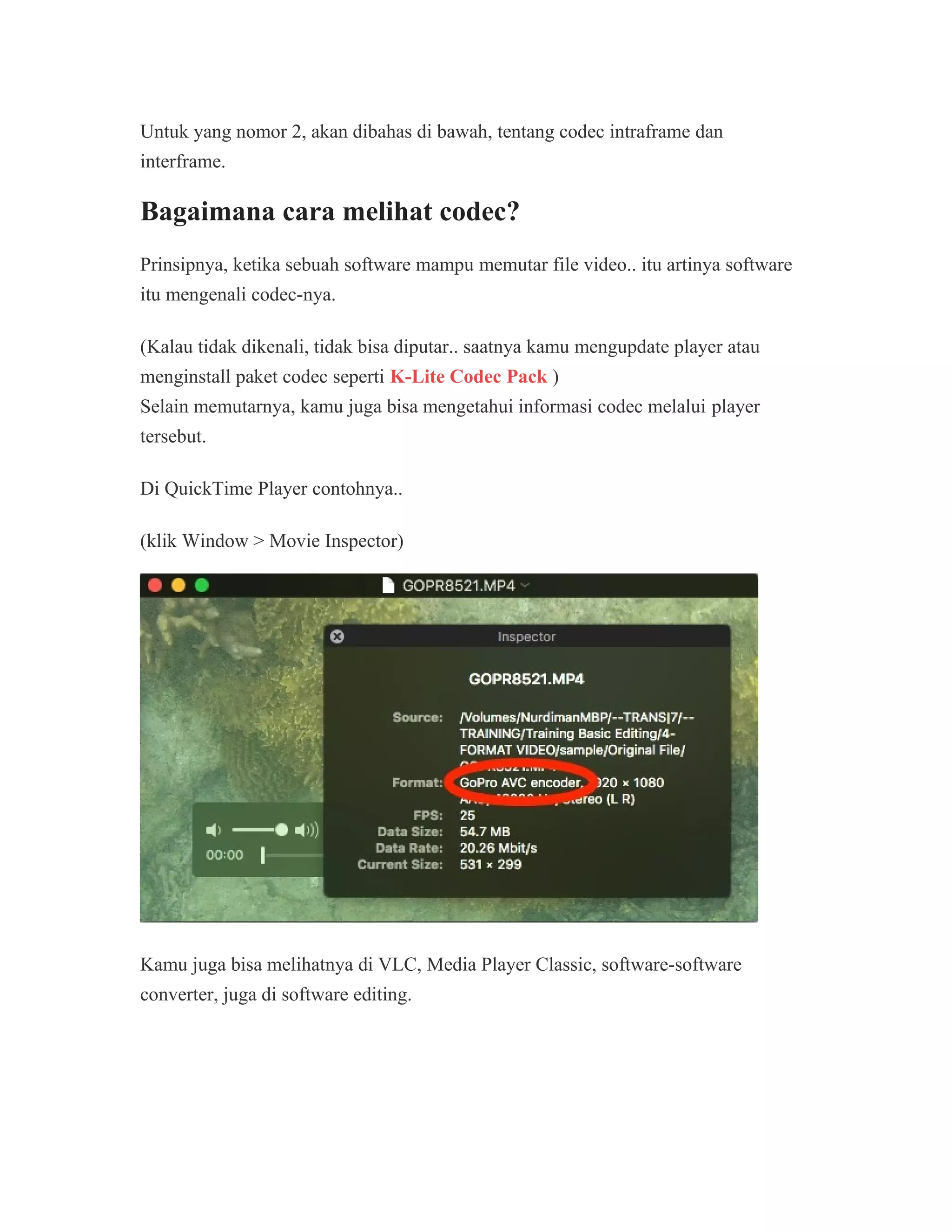 Segala hal tentang codec yang wajib diketahui setiap videografer dan ...