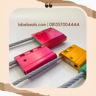 Cable Seals | PDF