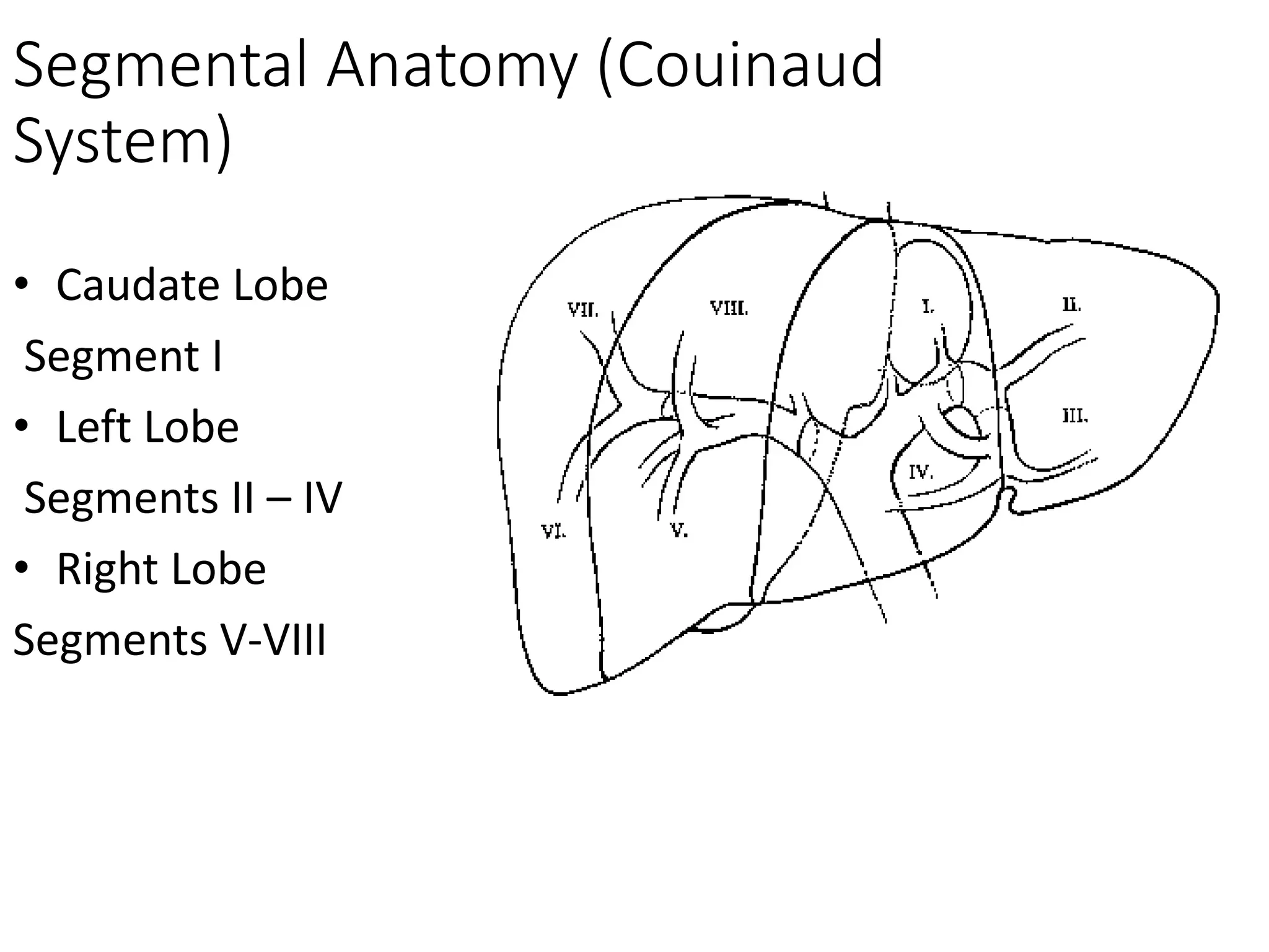 Segemental anatomy of liver | PPTX