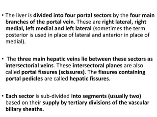 Segemental anatomy of liver | PPTX