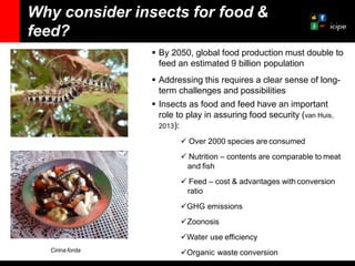 Segenet Kelemu - African edible-insects: diversity and pathway to food ...