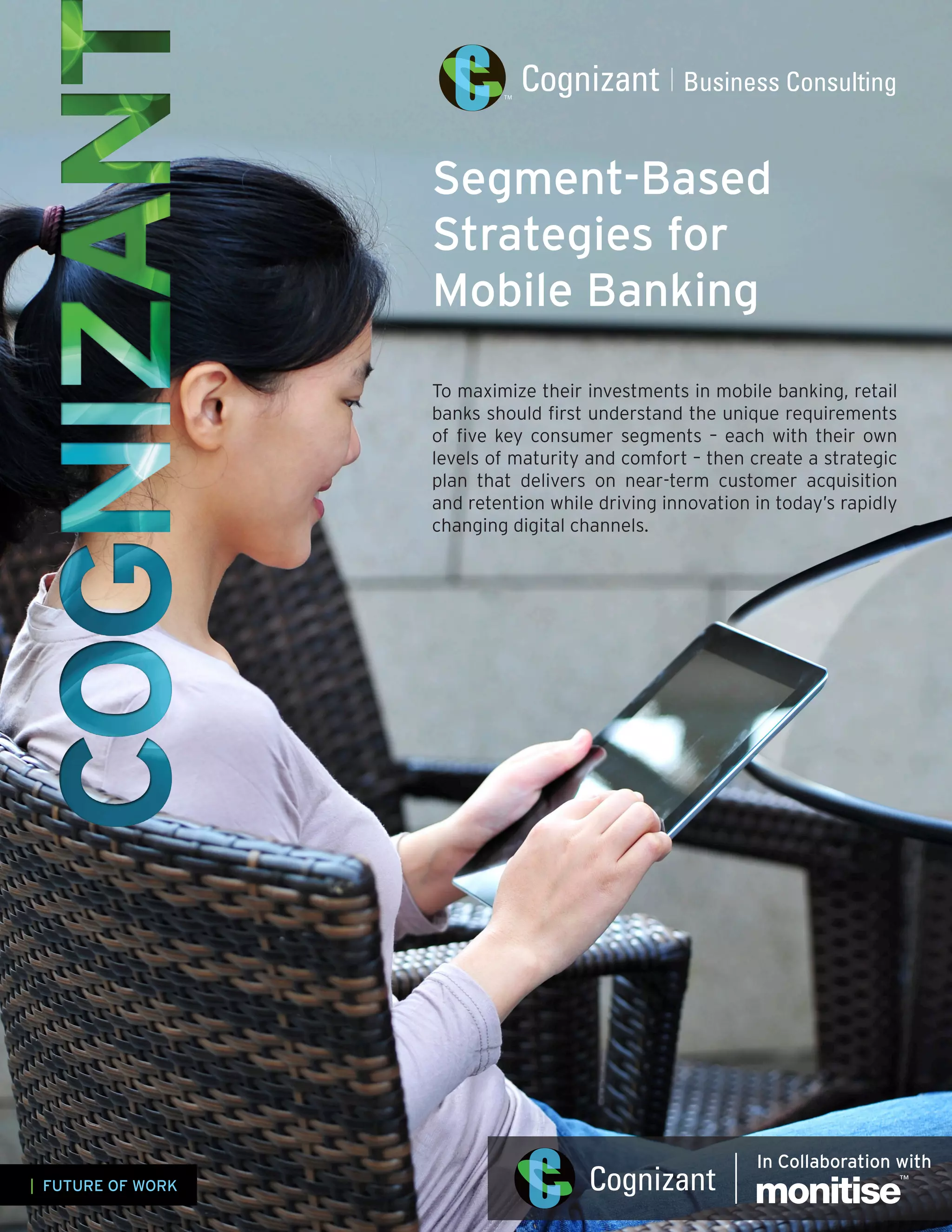 Segment-Based Strategies for Mobile Banking | PDF