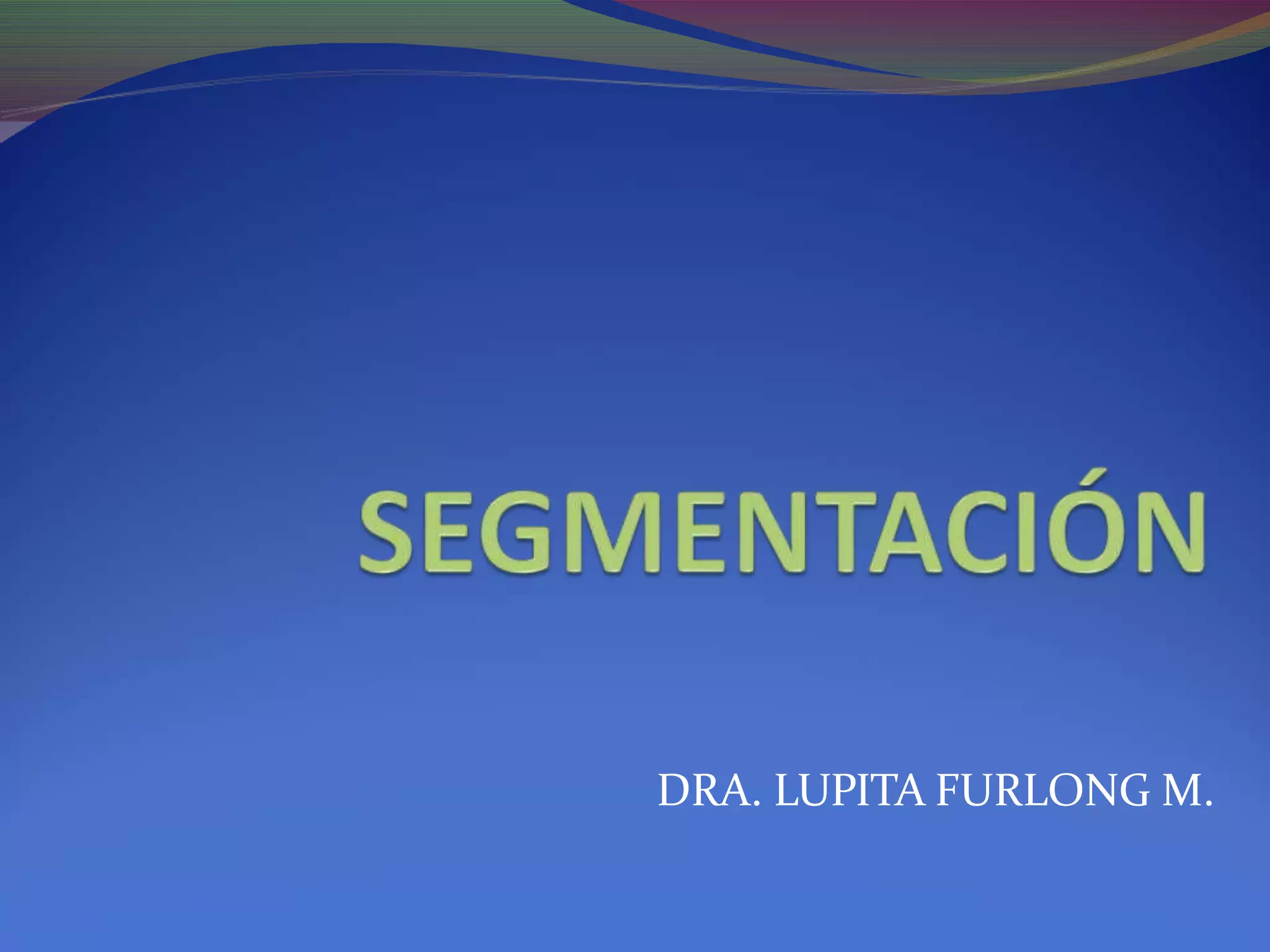 segmentacion2014-151002054040-lva1-app6892.pptx