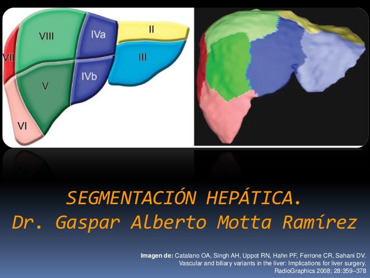 Segmentacion hepatica por Imagen seccional