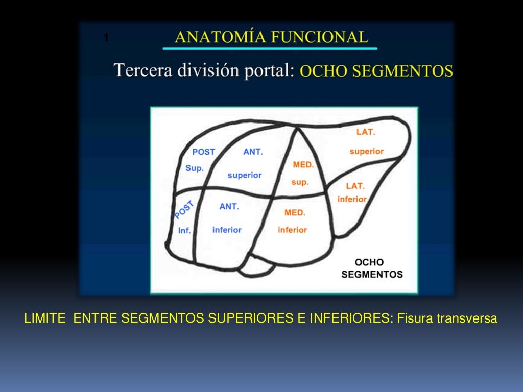 Segmentacion hepatica por Imagen seccional