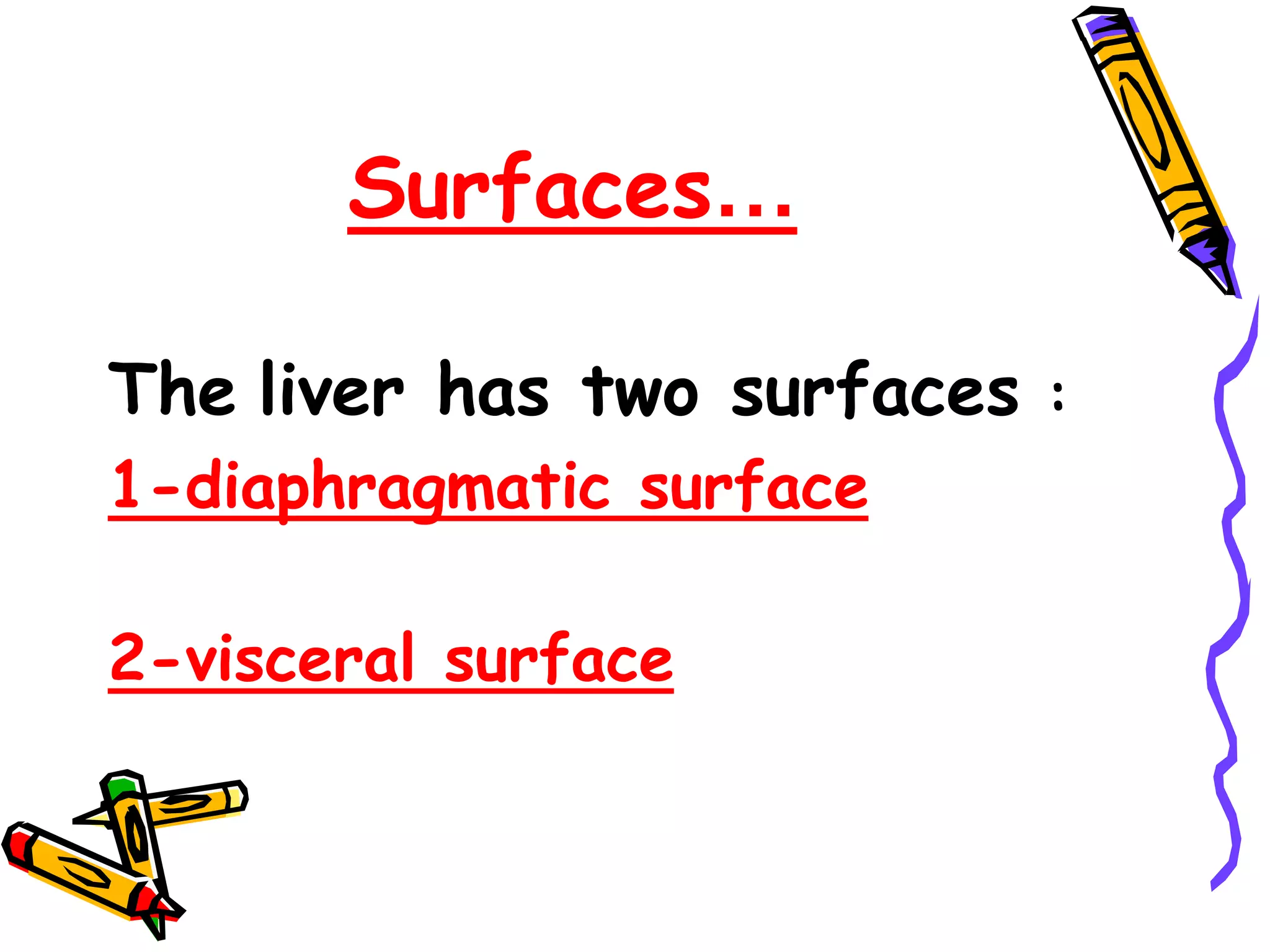 segmental-anatomy-liver.ppt