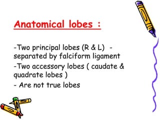 segmental-anatomy-liver.ppt