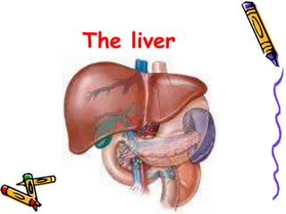 segmental-anatomy-liver.ppt