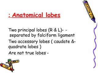 the segmental - anatomy of the liver.ppt