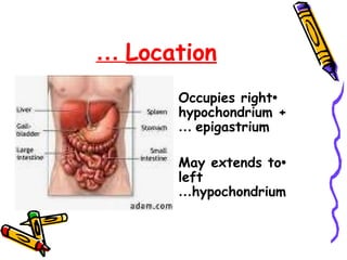 the segmental - anatomy of the liver.ppt