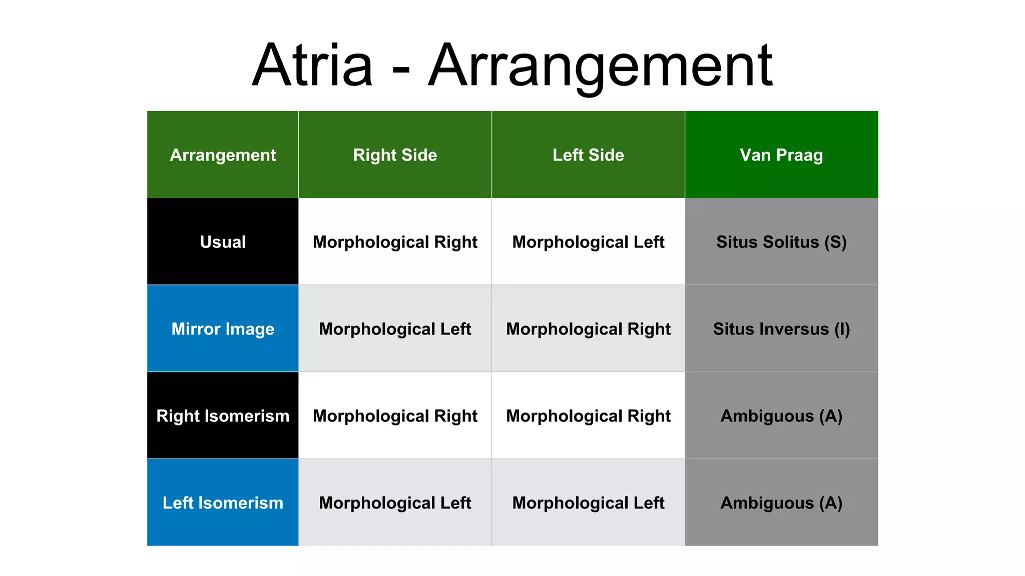Segmental analysis of heart anatomy | PPTX