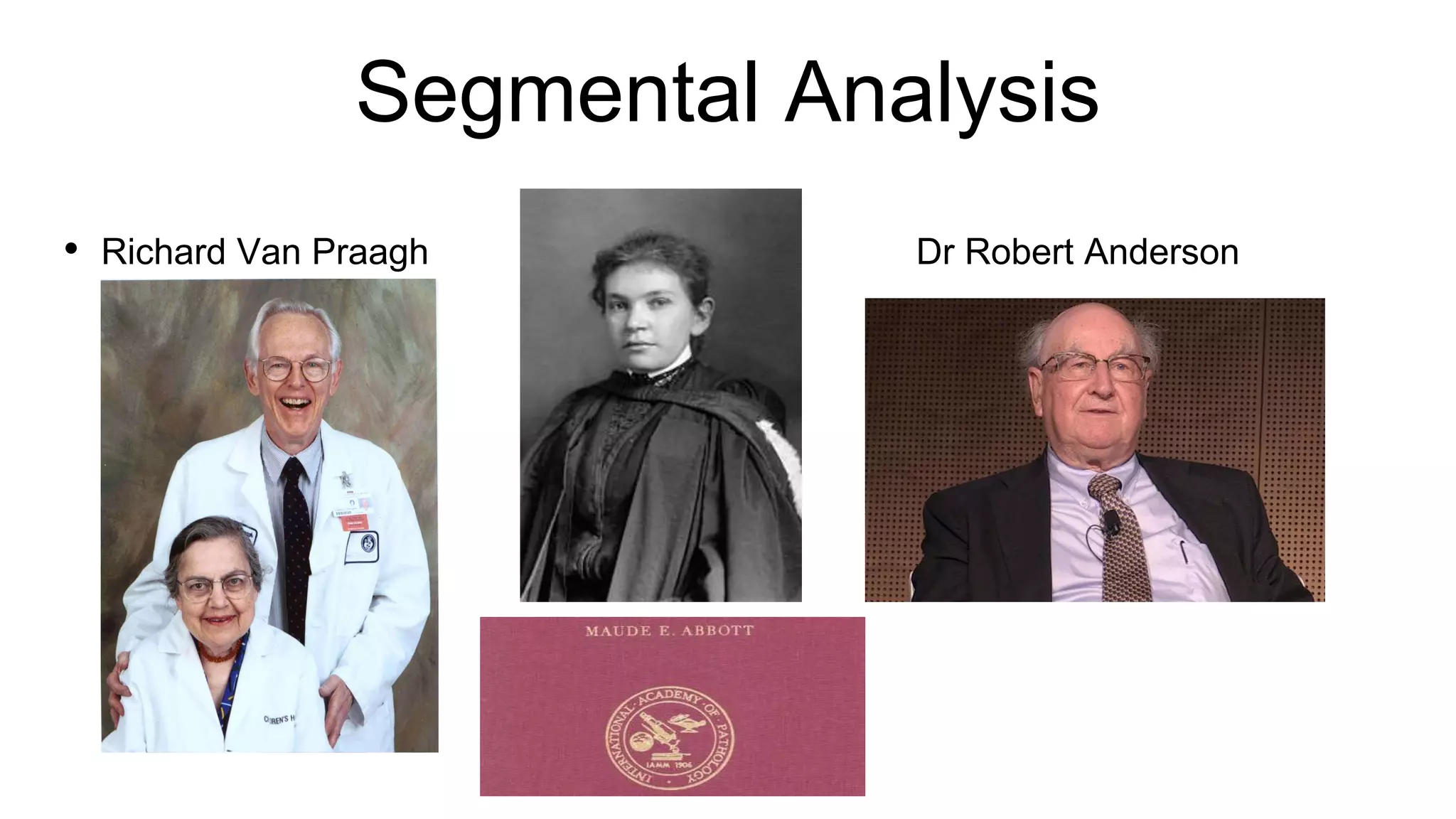 Segmental analysis of heart anatomy | PPTX