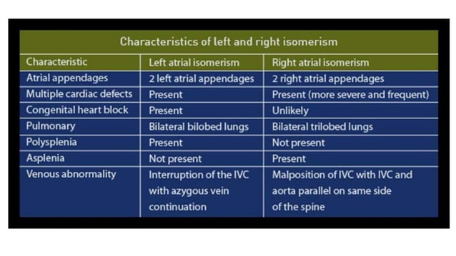 Segmental analysis of heart anatomy | PPTX | Heart and Cardiovascular ...
