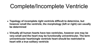 Segmental analysis of heart anatomy | PPTX