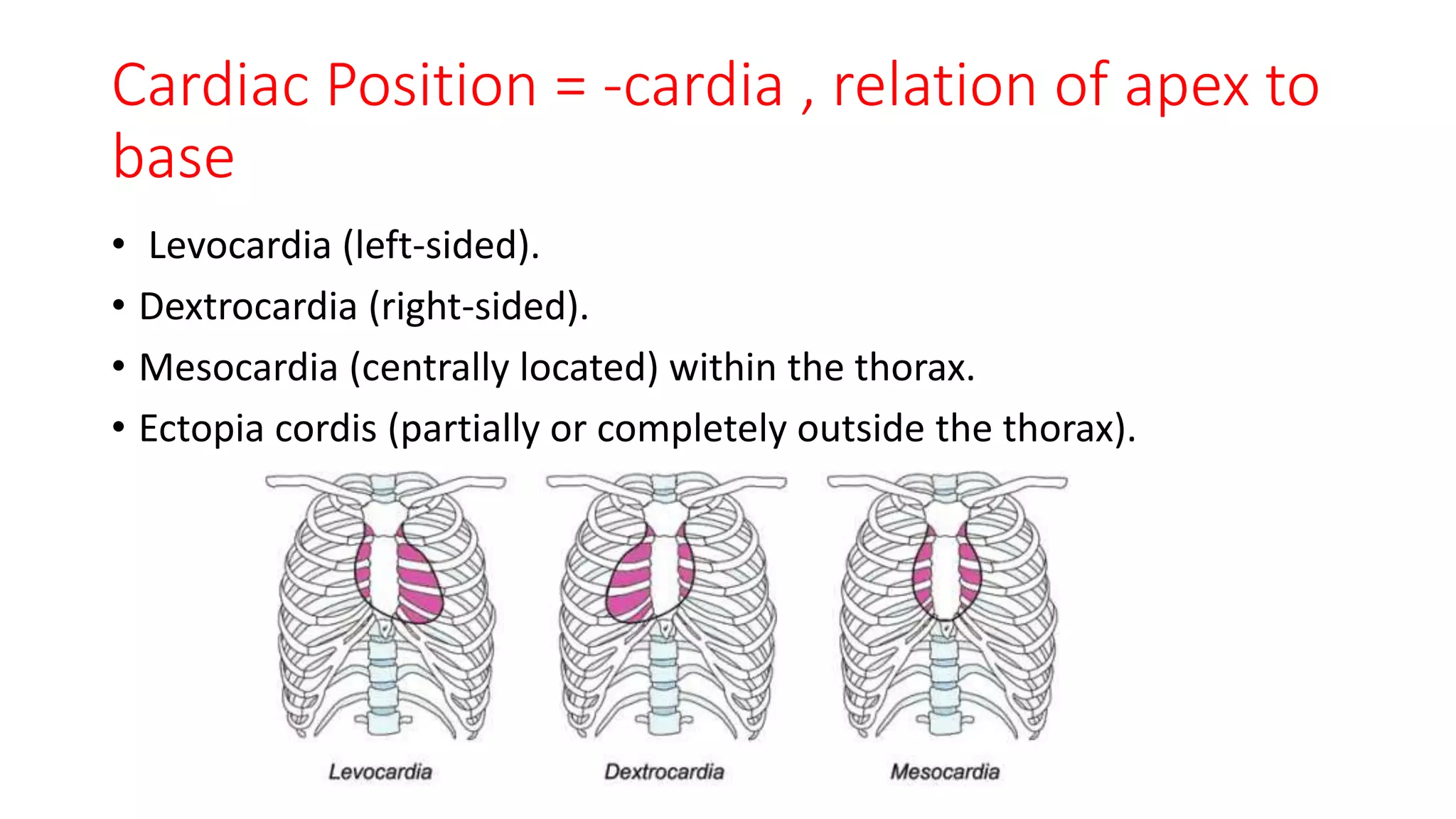 Segmental analysis in congenital heart diseases m.gibreel | PPTX
