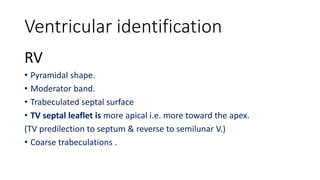 Segmental analysis in congenital heart diseases m.gibreel | PPTX