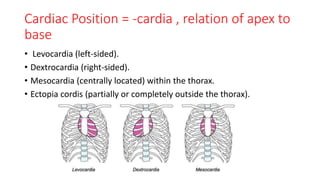 Segmental analysis in congenital heart diseases m.gibreel | PPTX