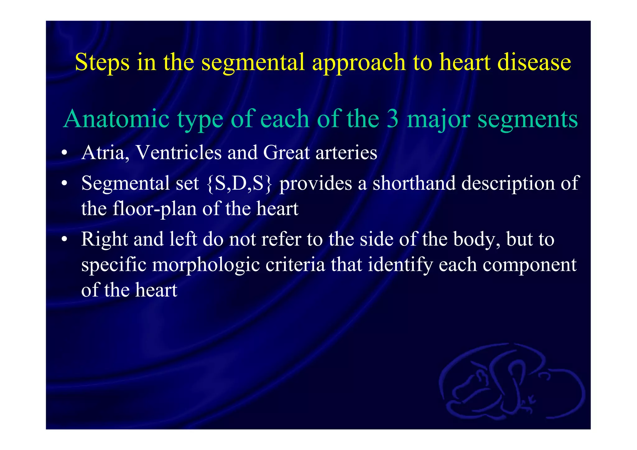 Segmental approach and evaluation of cardiac morphology | PDF