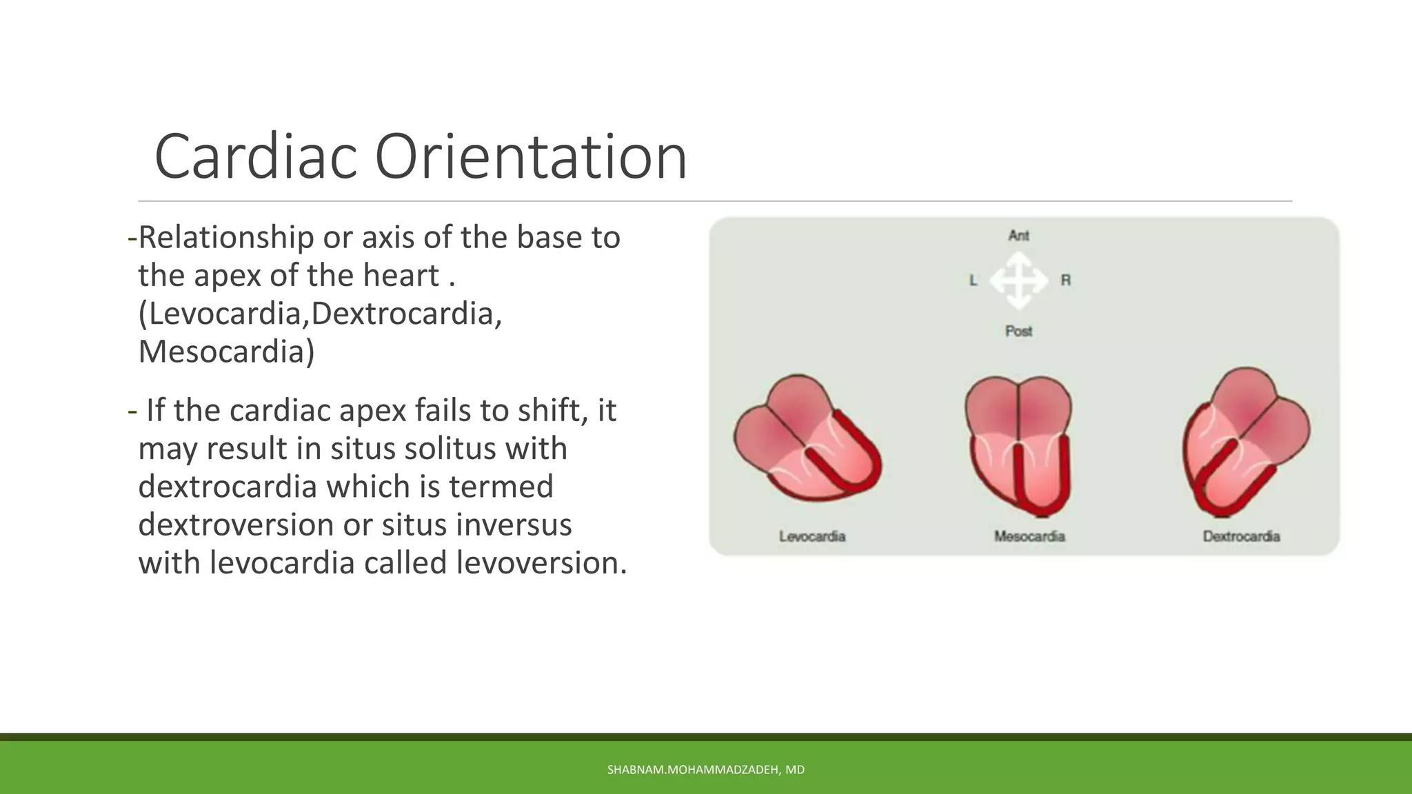 Segmental approach in congenital heart disease [autosaved].pptx 2.pptx ...